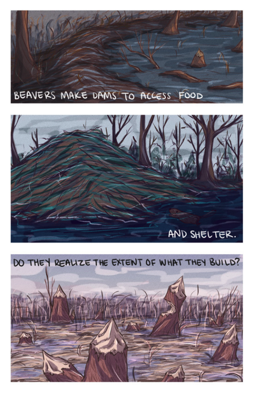 Beaver Lodge at Sam Shine Foundation Preserve - Sam Shine Foundation